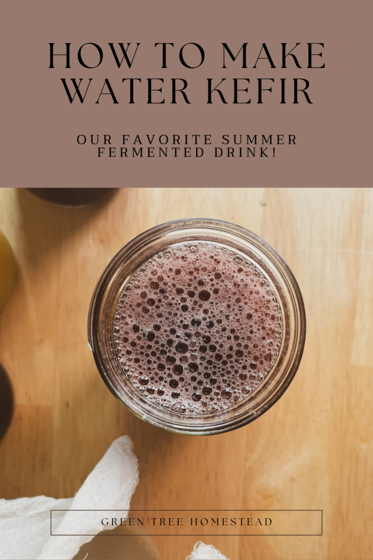 How to Make Water Kefir: A Step-by-Step Guide - Green Tree Homestead