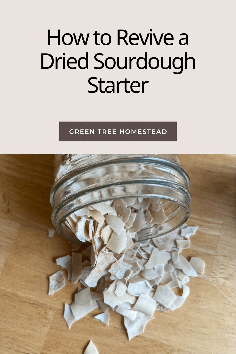 How to Revive a Dried Sourdough Starter: A Guide - Green Tree Homestead